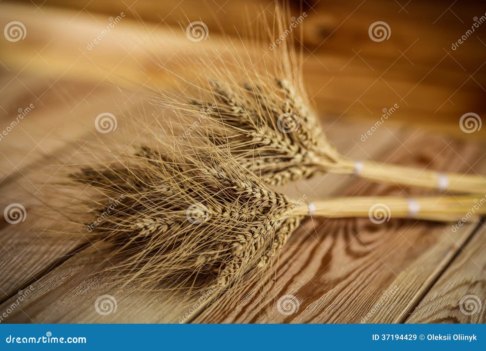 Wheat on the table stock image. Image of rural, crop - 37194429