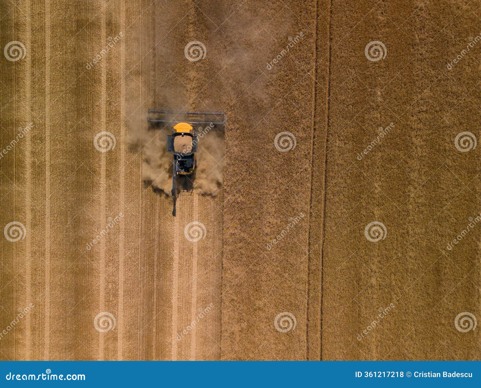 Wheat Threshing Combine in the Field. Advanced Technology for ...