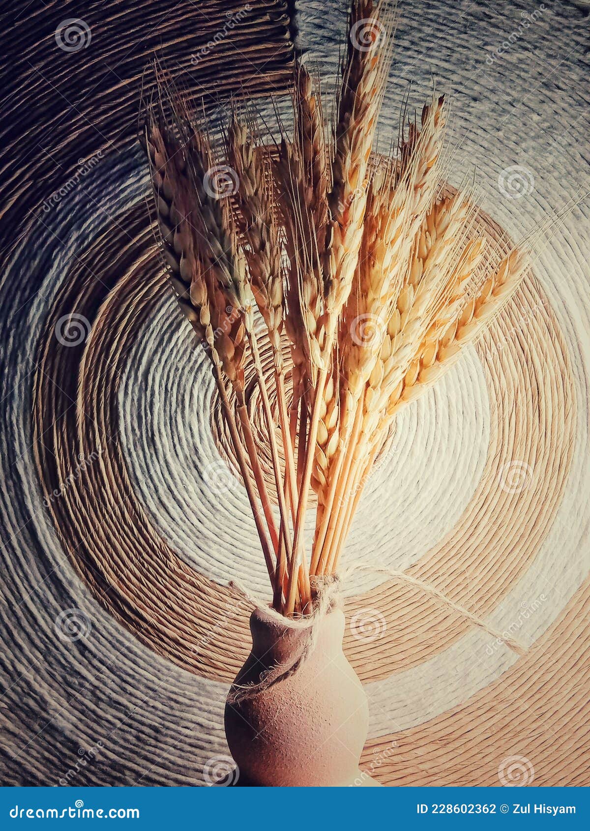 Wheat tree decoration. stock photo. Image of decoration - 228602362