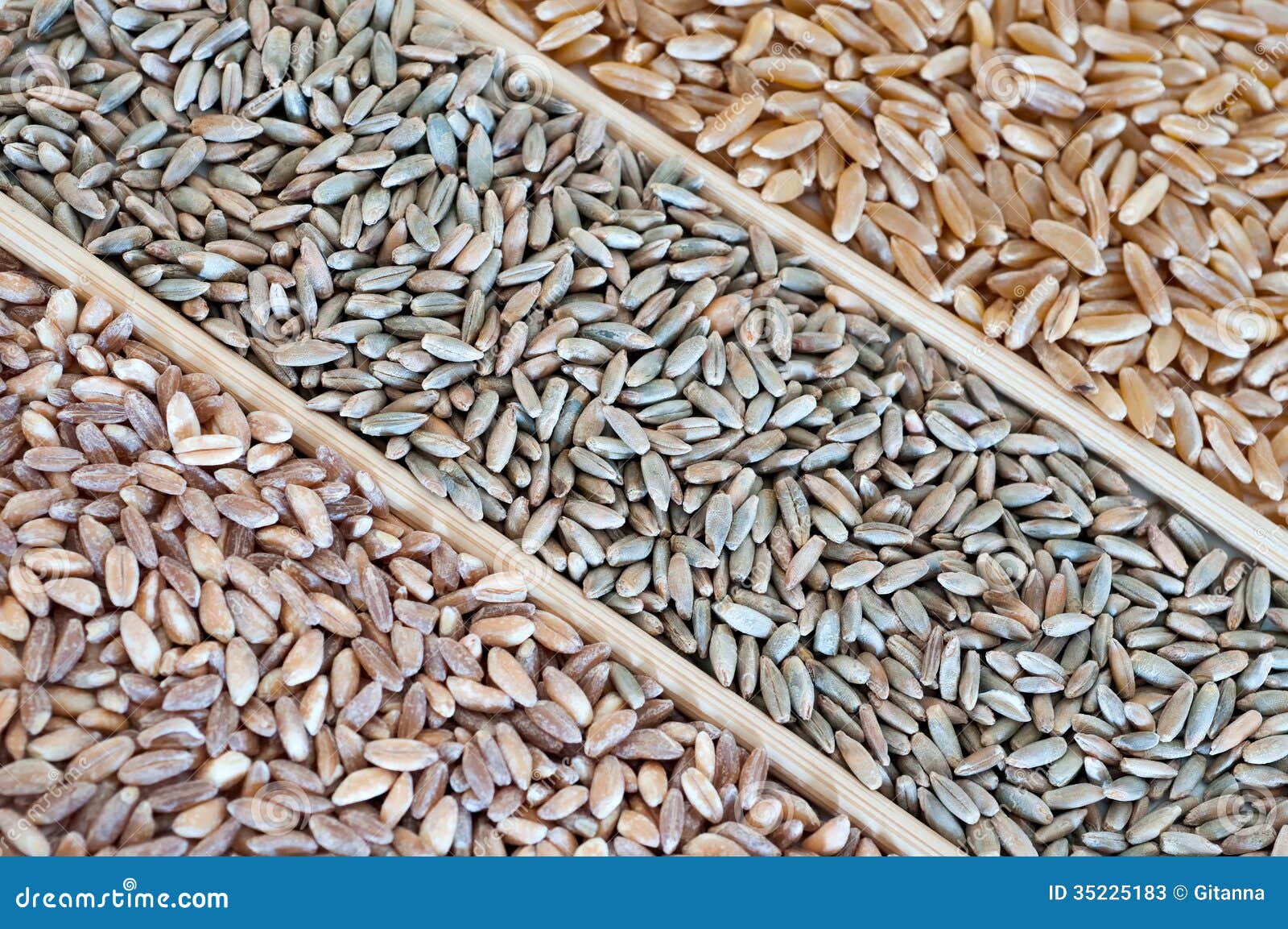 Spring Wheat Varieties
