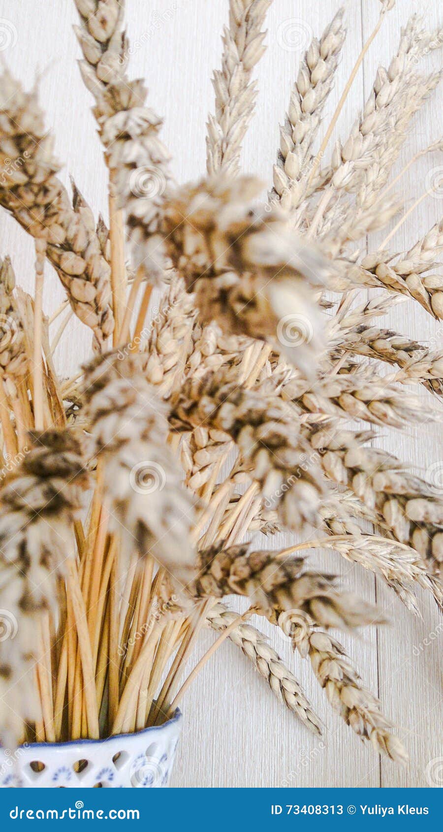 Wheat stock image. Image of wheat, flour, bread, vase - 73408313