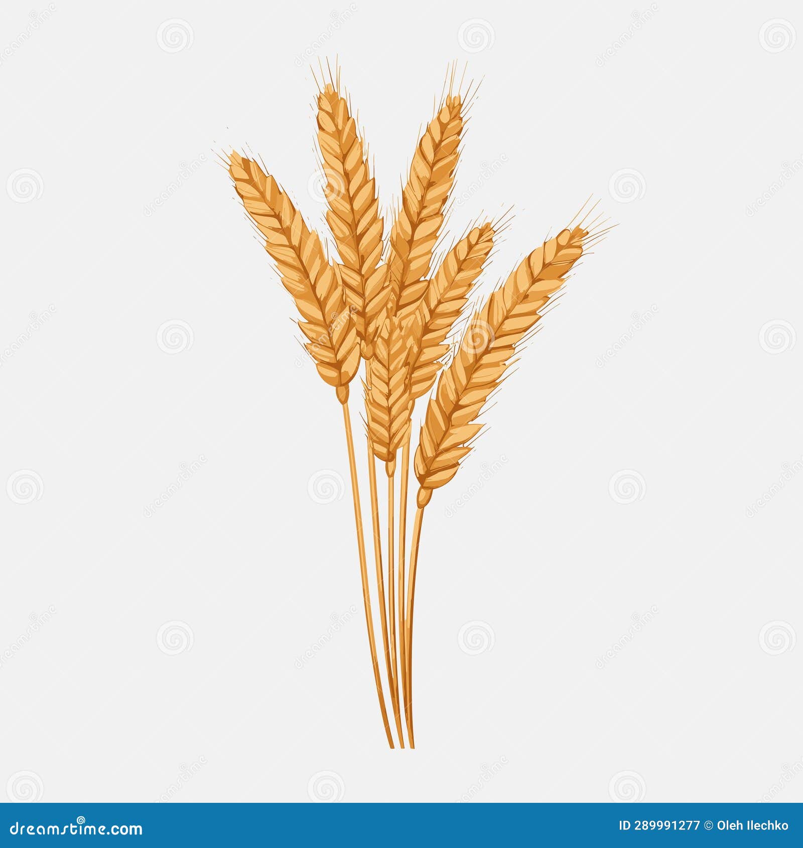 Wheat Vector Flat Minimalistic Asset Isolated Illustration Stock Vector ...