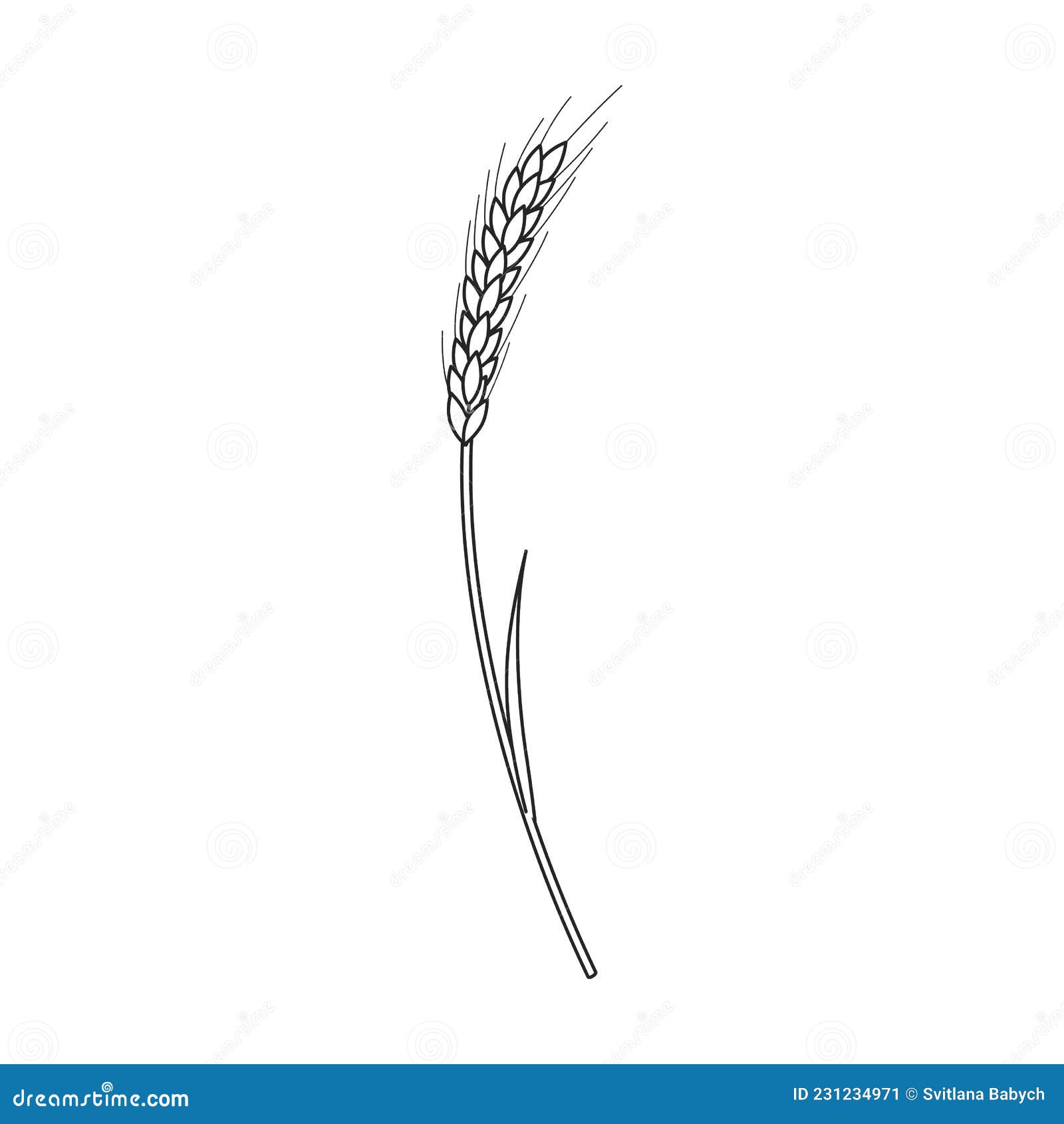 Wheat Vector Icon.Outline Vector Icon Isolated on White Background ...