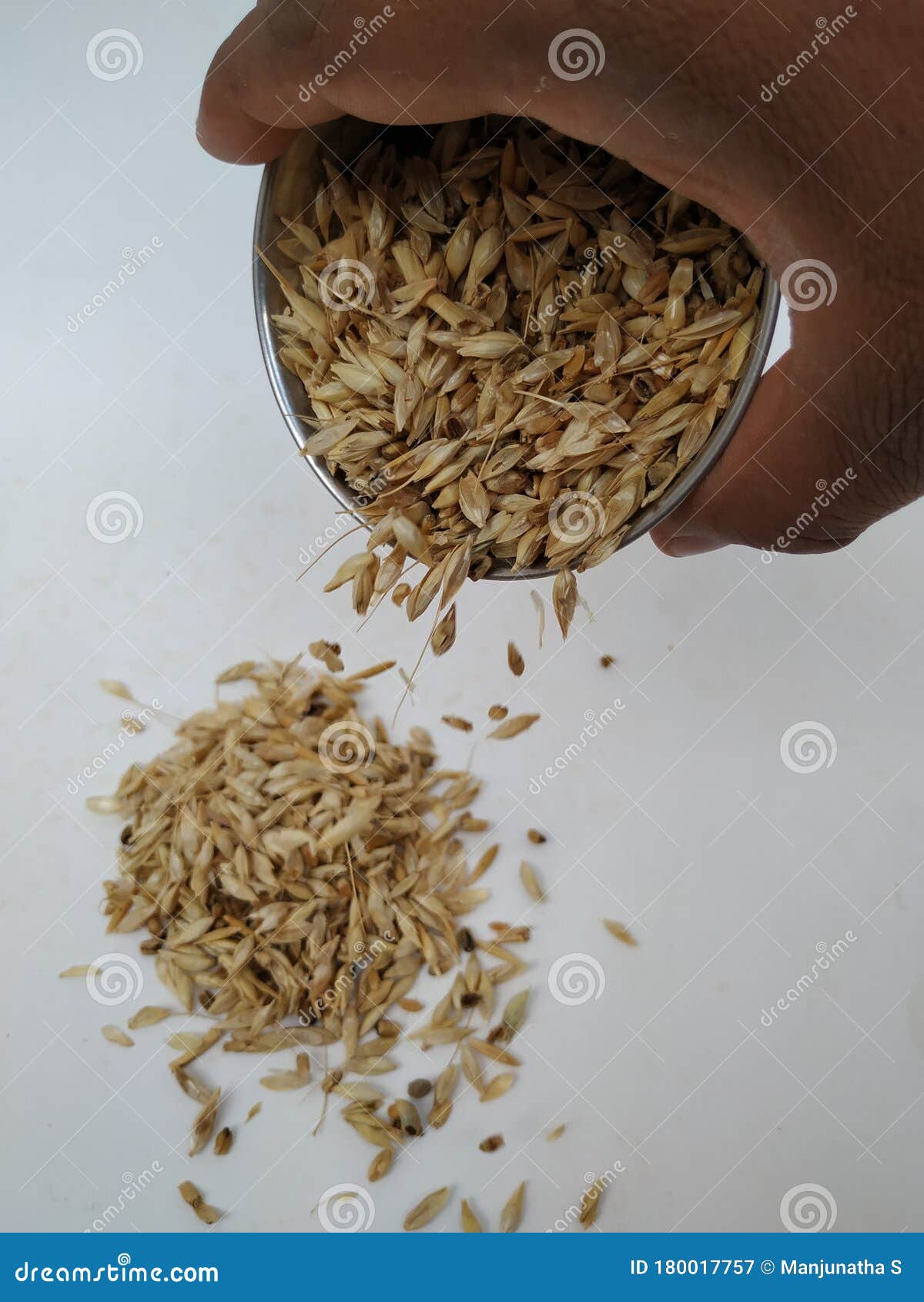 Wheat and Waste of Shell Holding in a Hand and Cup Dropping from Top ...