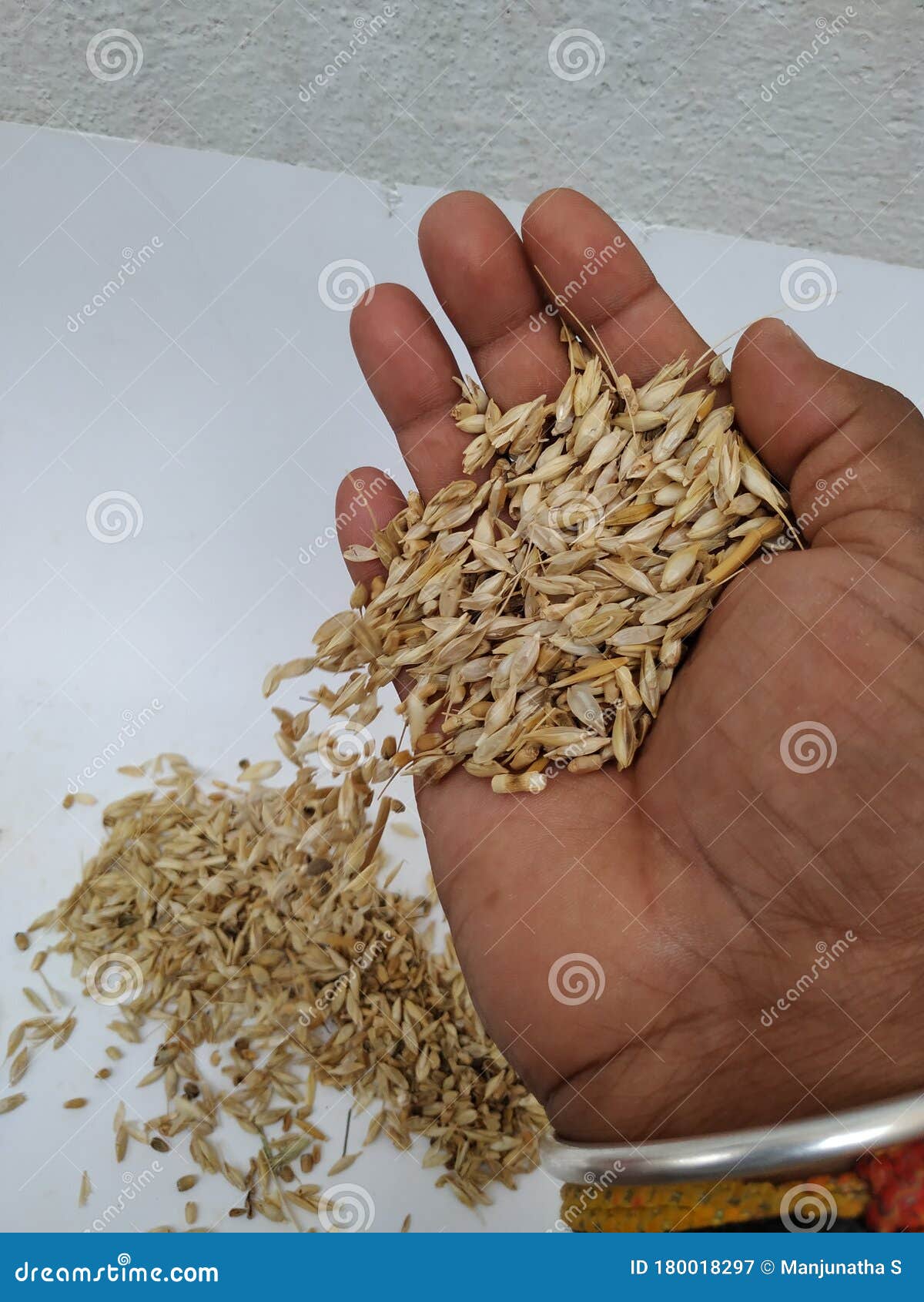 Wheat and Waste of Shell Holding in a Hand and Cup Dropping from Top ...