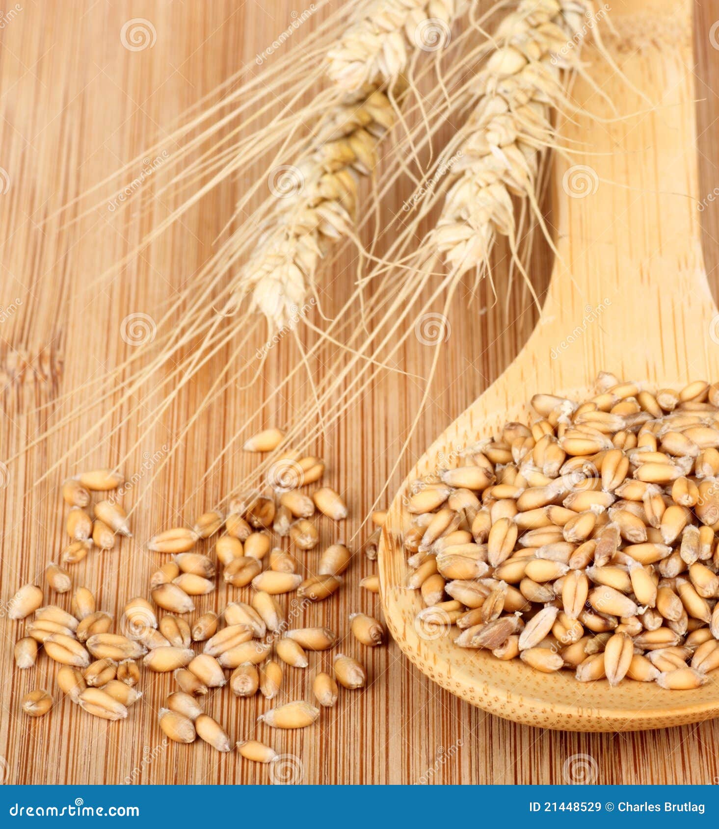 Wheat and Wheat Kernels stock image. Image of spilled - 21448529