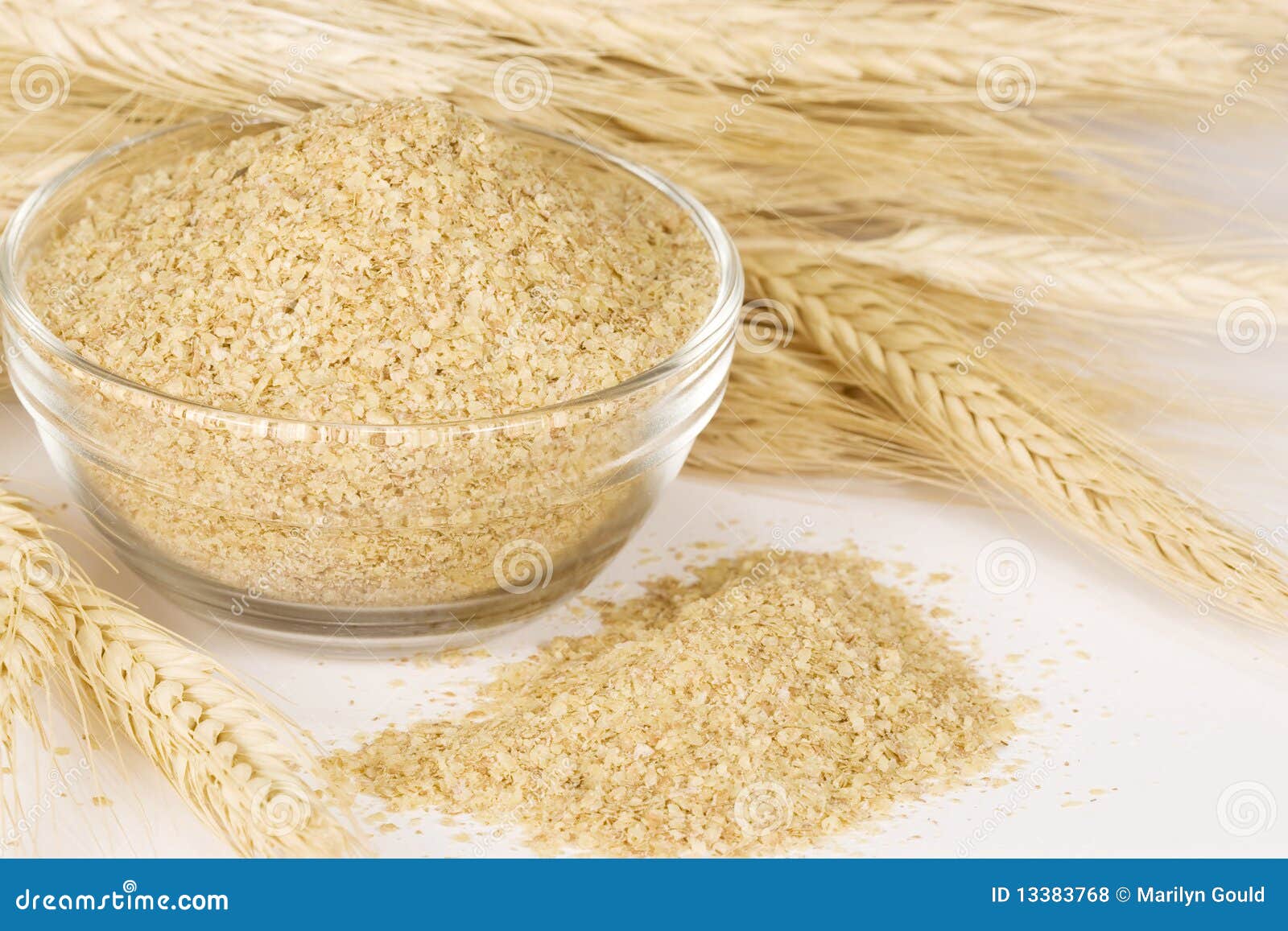Wheat and wheatgerm stock photo. Image of grain, nature - 13383768