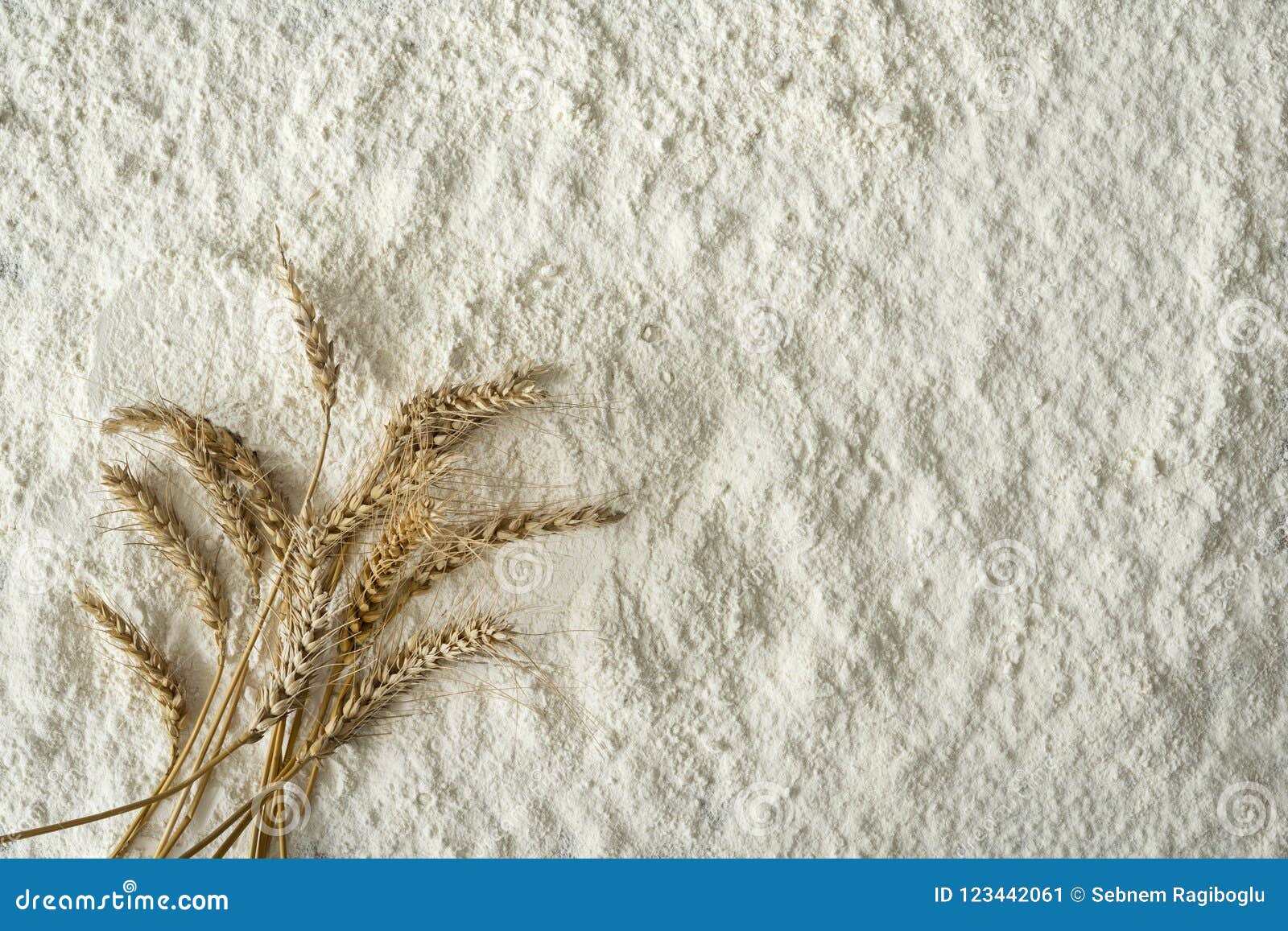 Wheat and White Flour Texture Background Stock Image - Image of wheat ...
