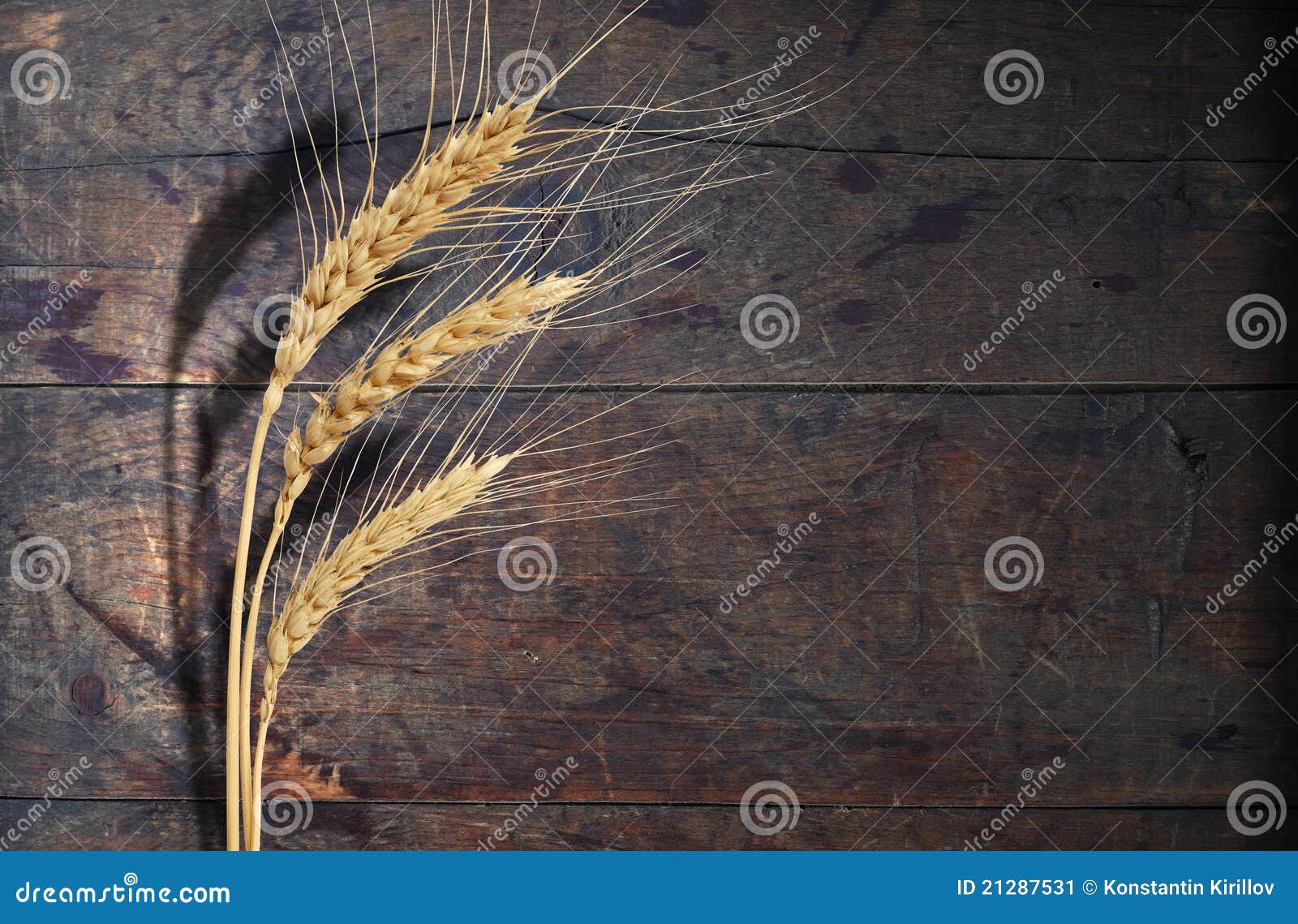 Wheat on Wood stock image. Image of plant, farm, corn - 21287531