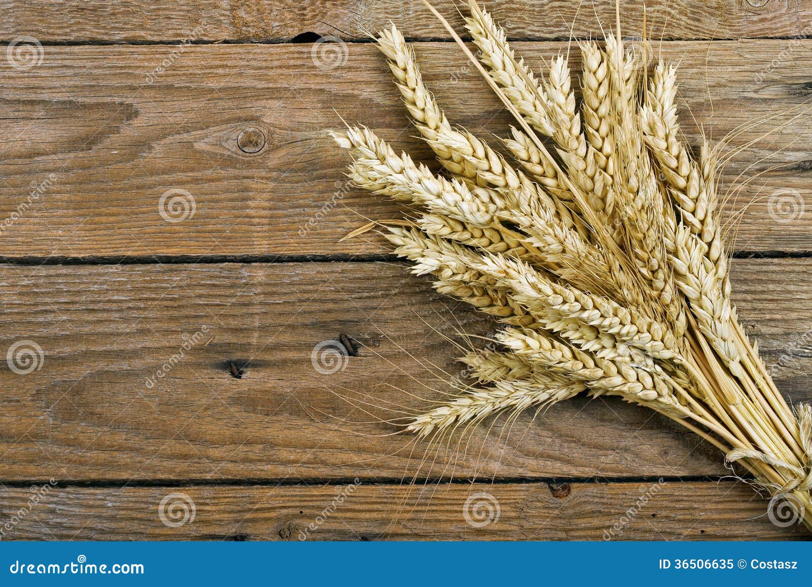 Wheat on wood stock image. Image of industry, agricultural - 36506635