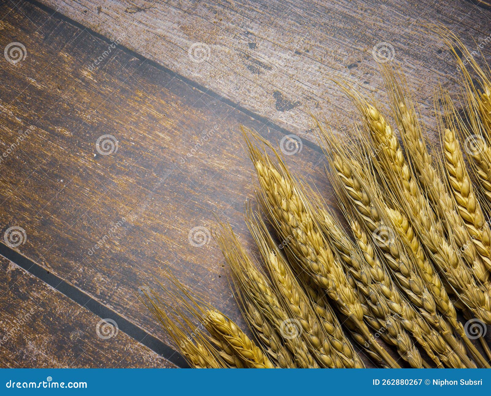 Wheat on Wood Table for Food Concept Stock Image - Image of white ...