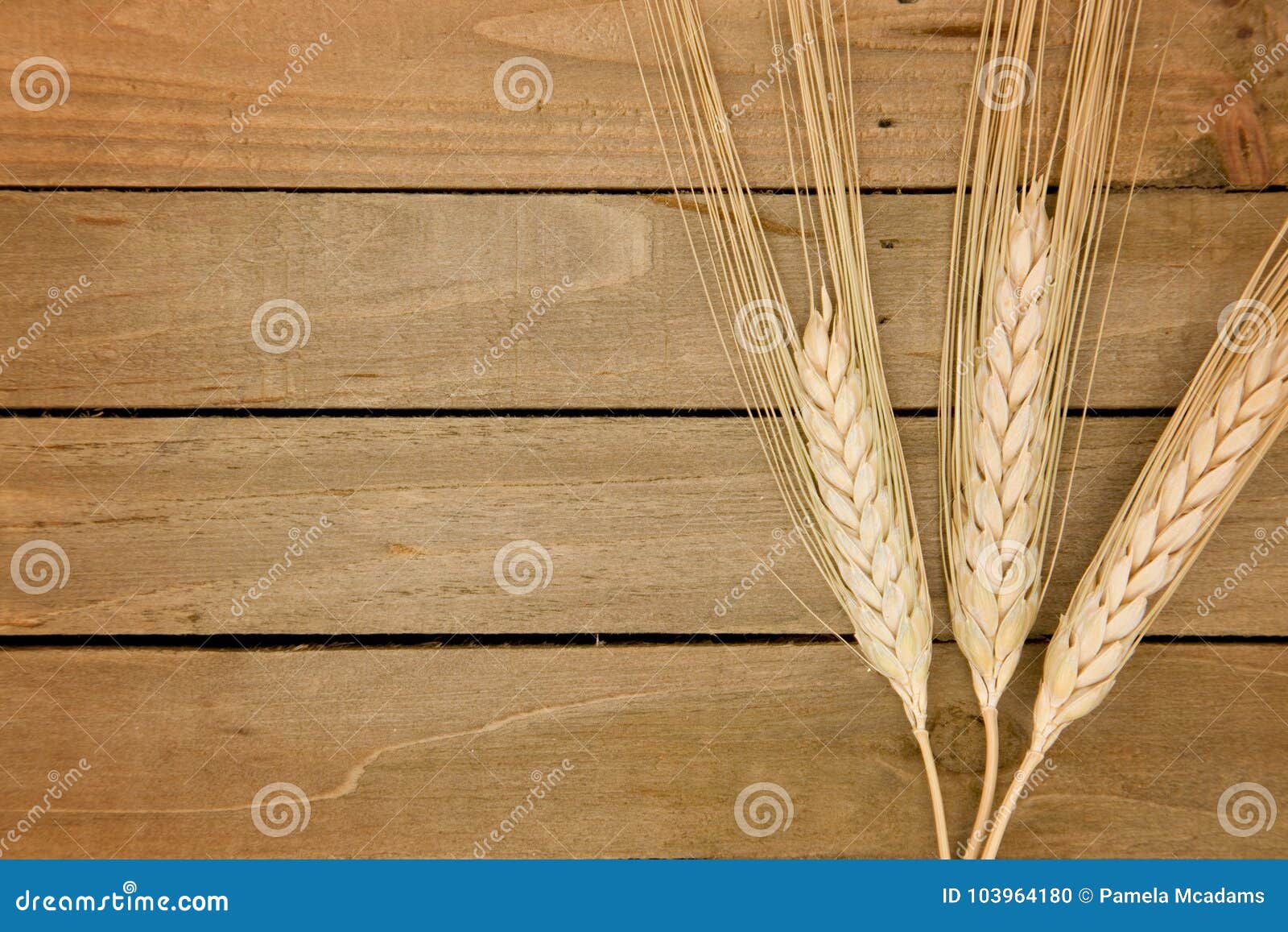Wheat on a Wooden Table stock photo. Image of blossom - 103964180