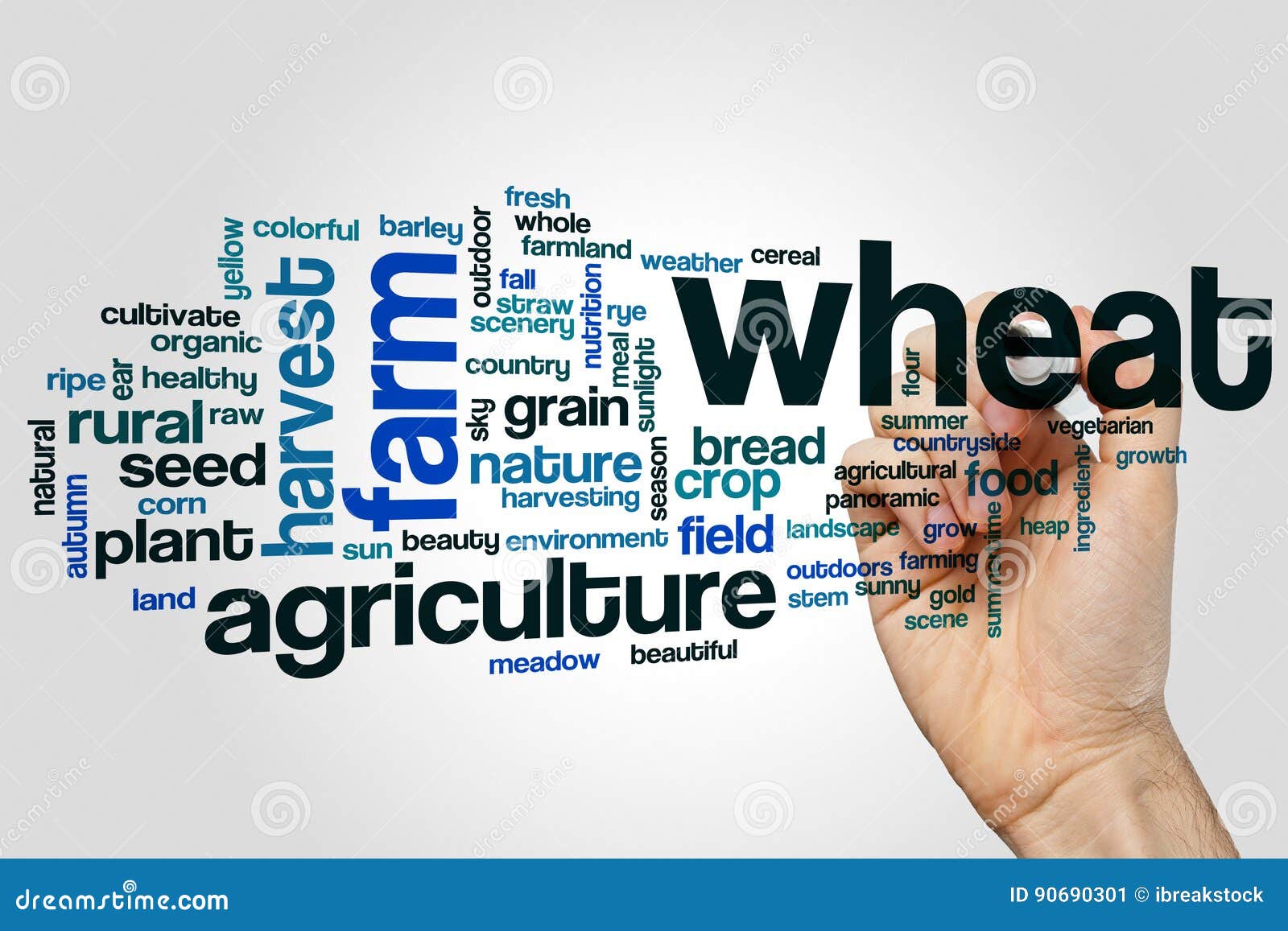 Wheat word cloud stock image. Image of harvest, ripe - 90690301