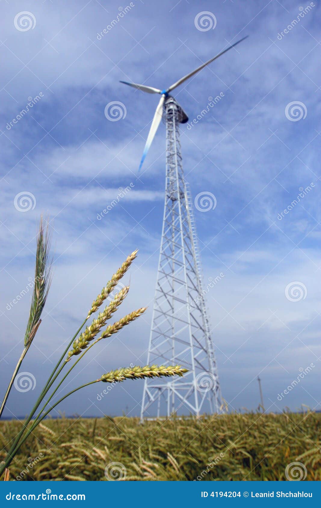 Wheaten Field with a Windmill Stock Photo - Image of agriculture ...
