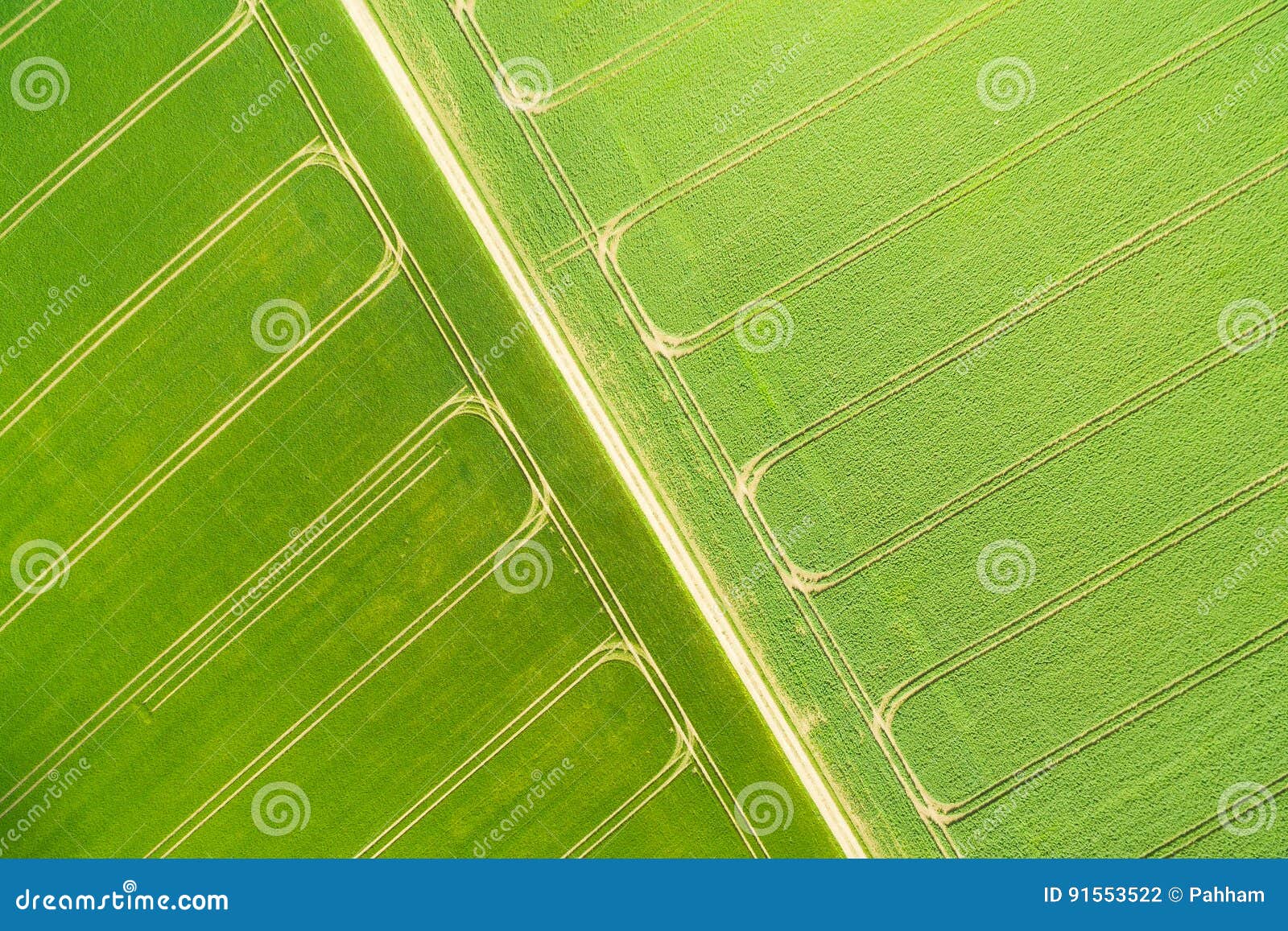 Wheatfield stock photo. Image of beautiful, plant, field - 91553522