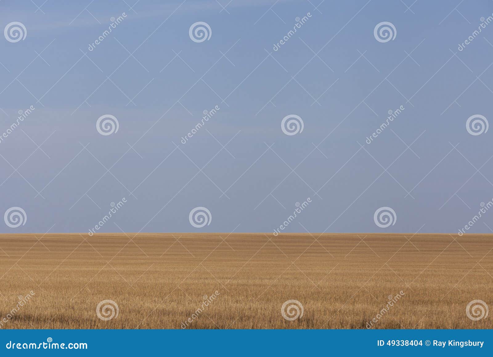 Wheatfield Background Stock Photography | CartoonDealer.com #49338404