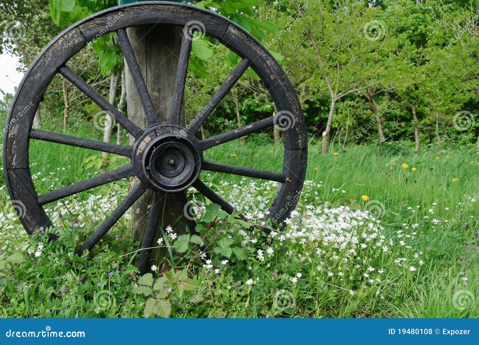 Wheel stock photo. Image of driveway, countryside, circle - 19480108