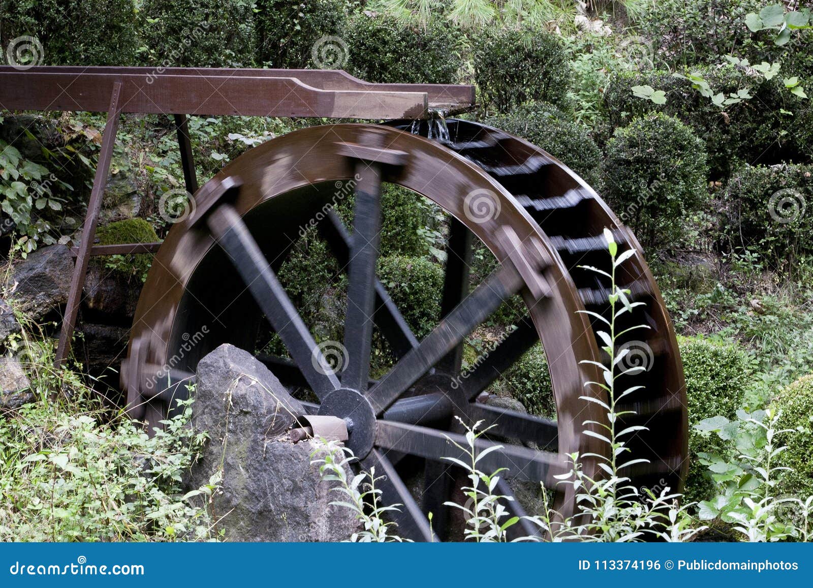 Wheel, Automotive Tire, Tire, Tree Picture. Image: 113374196