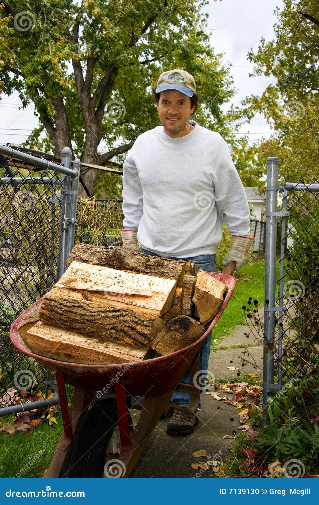 Wheel Barrel Full of Firewood Stock Photo - Image of heat, fire: 7139130