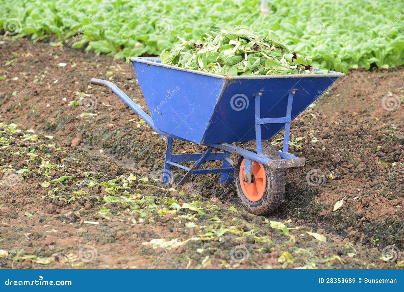 Wheel Barrow stock image. Image of moving, farming, dirt - 28353689