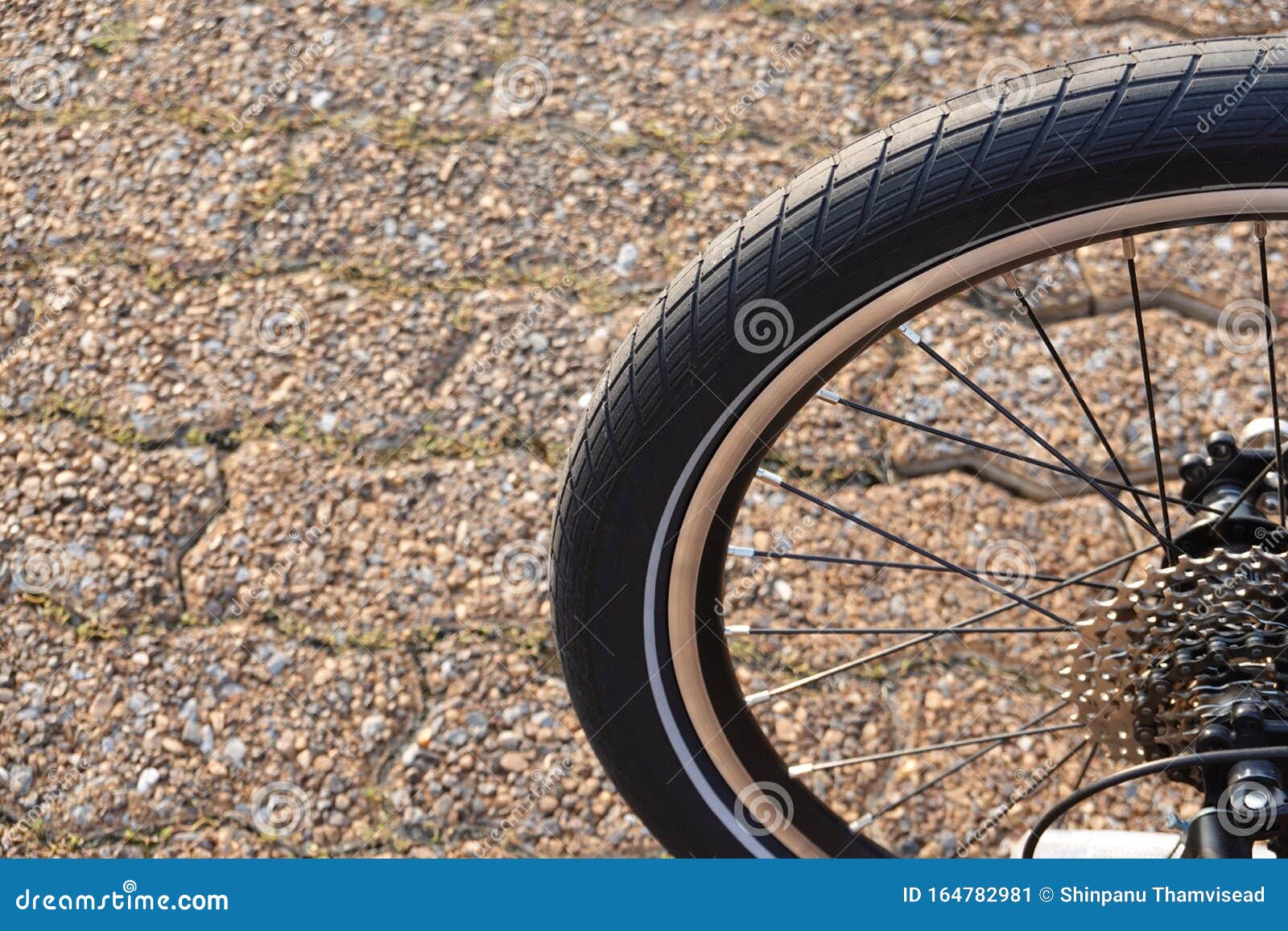 Back Wheel of a Bicycle/Wheel of a Bicycle. Close Up Bicycle Wheel ...