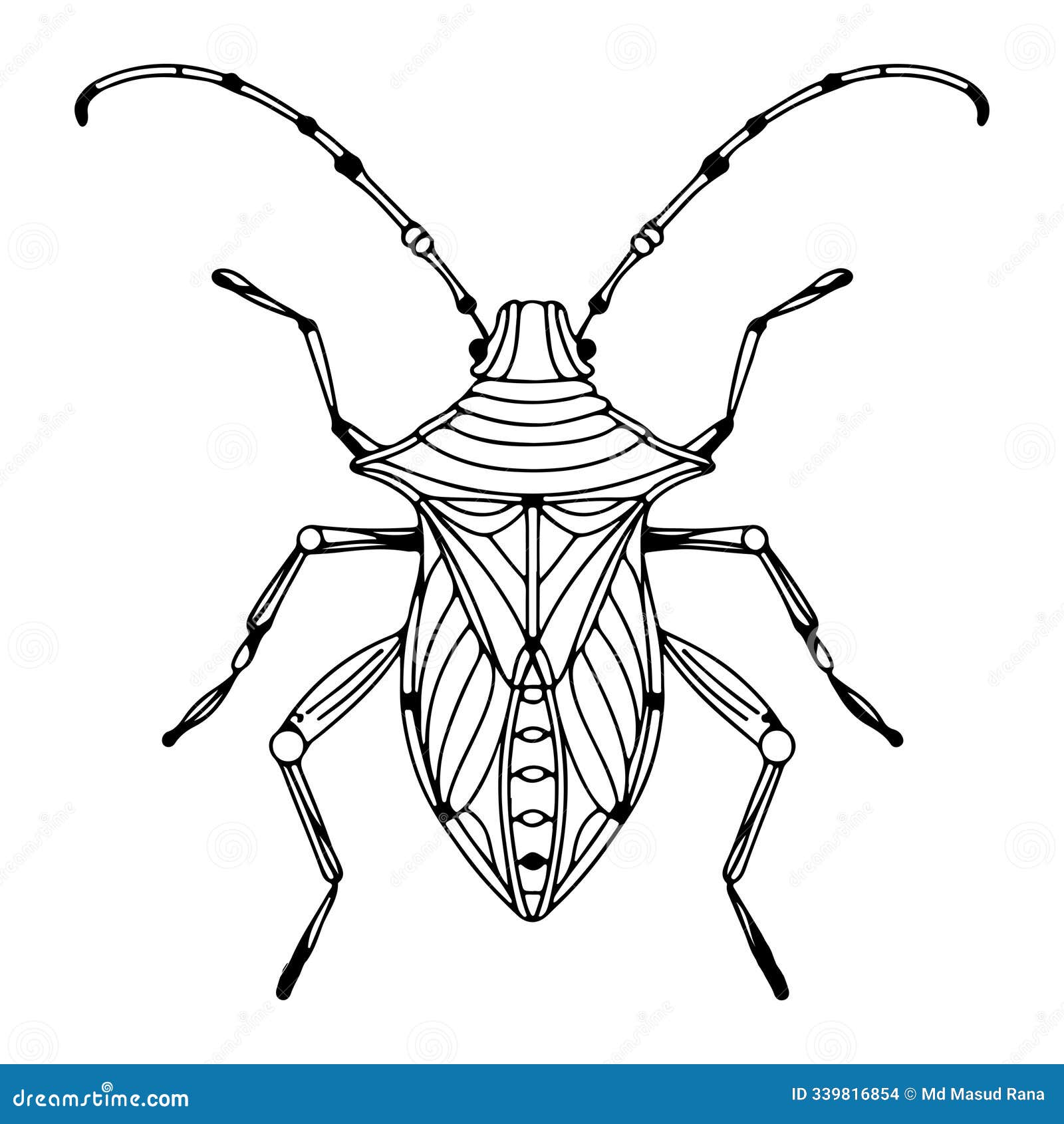 Wheel Bug Simple Outline Vector Illustration Line Art Stock Vector ...