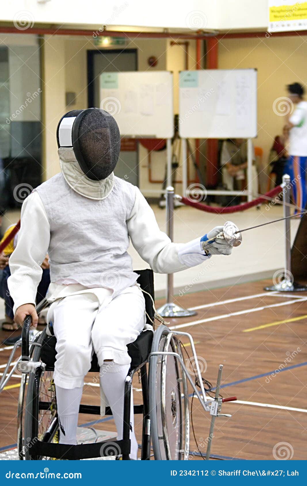 Wheel Chair Fencing stock photo. Image of fence, handicaps - 2342112