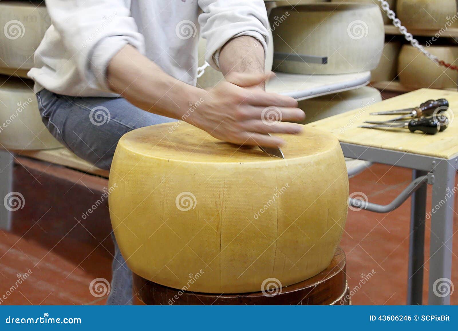 Wheel of cheese stock photo. Image of industry, device - 43606246