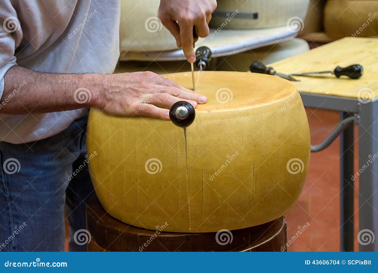 Wheel of cheese stock photo. Image of mature, food, milk - 43606704