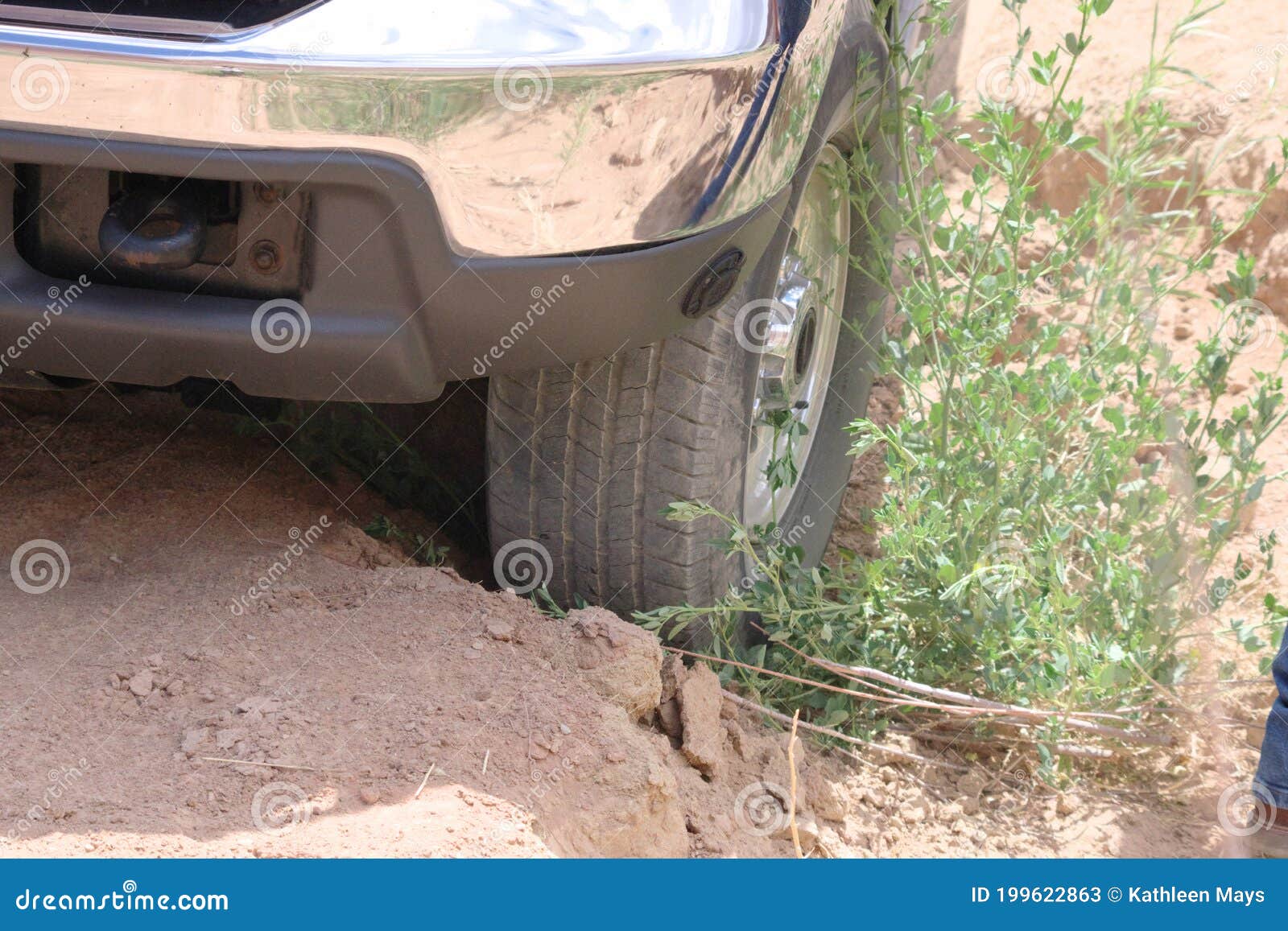 Wheel in a Ditch stock image. Image of bumper, forest - 199622863