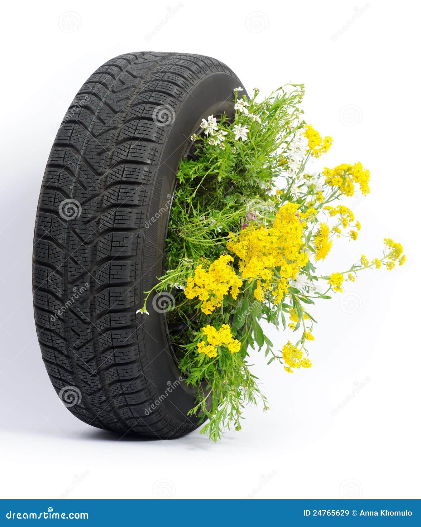 Wheel with flowers stock image. Image of yellow, conceptual - 24765629