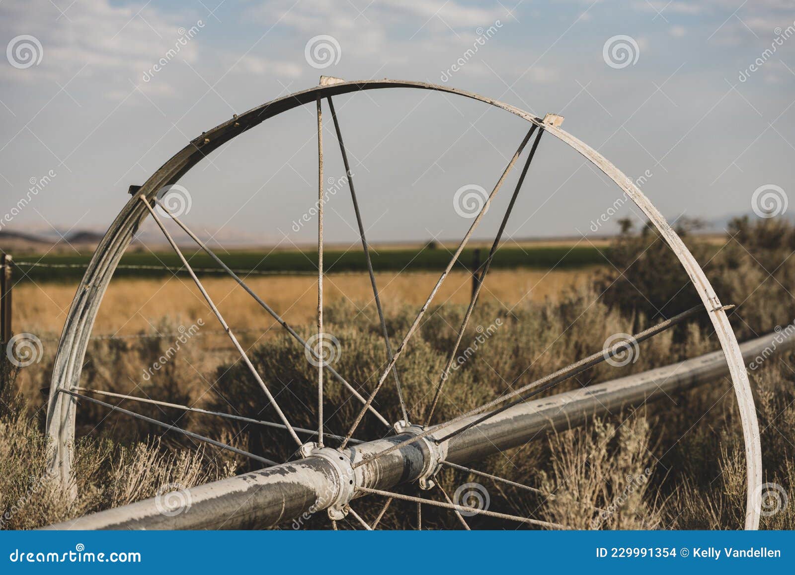 Wheel of Irrigation System Sitting in Dry Brush Stock Photo - Image of ...