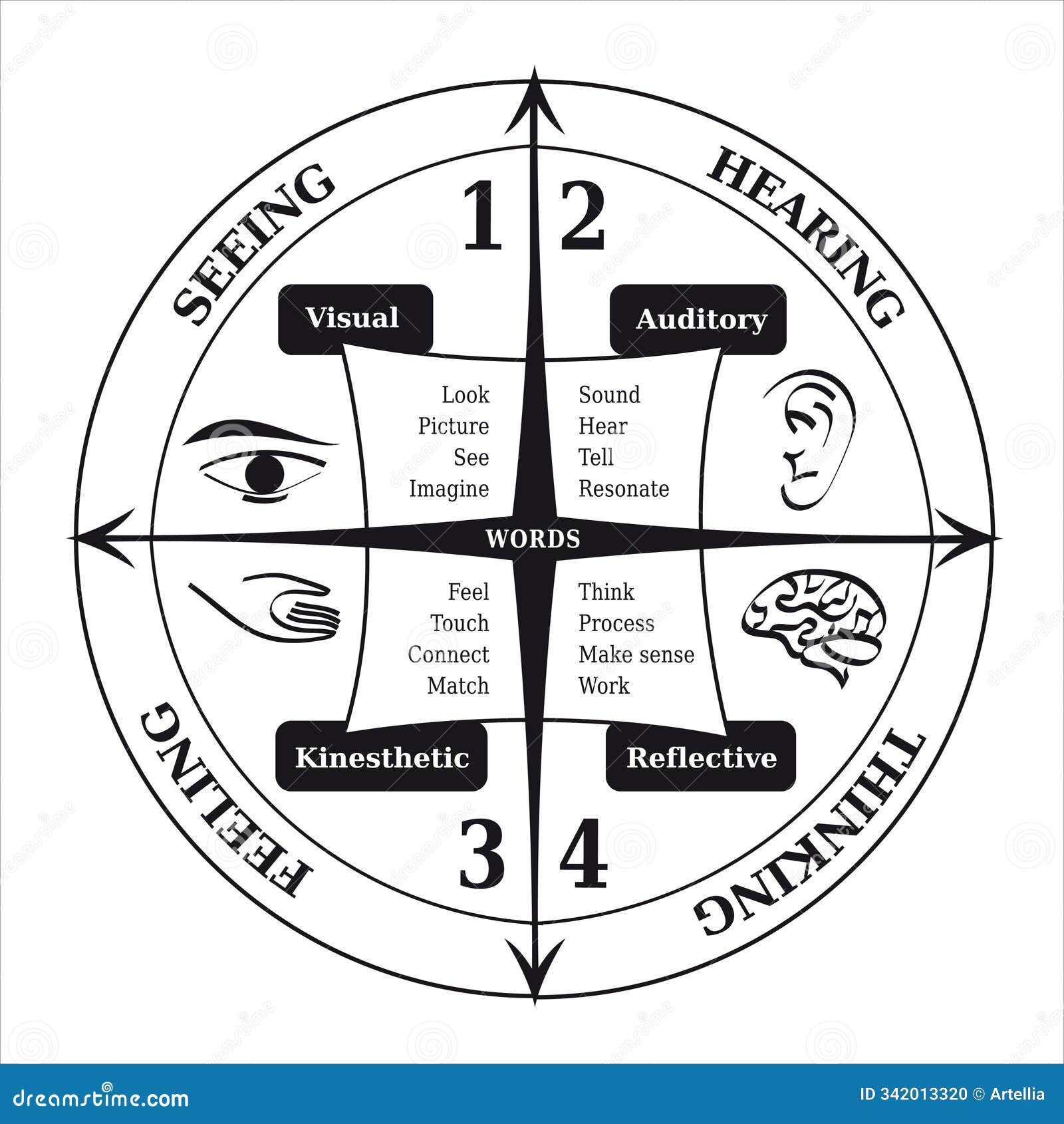 Learning Styles With Visual, Auditory, Read And Kinaesthetic Outline ...