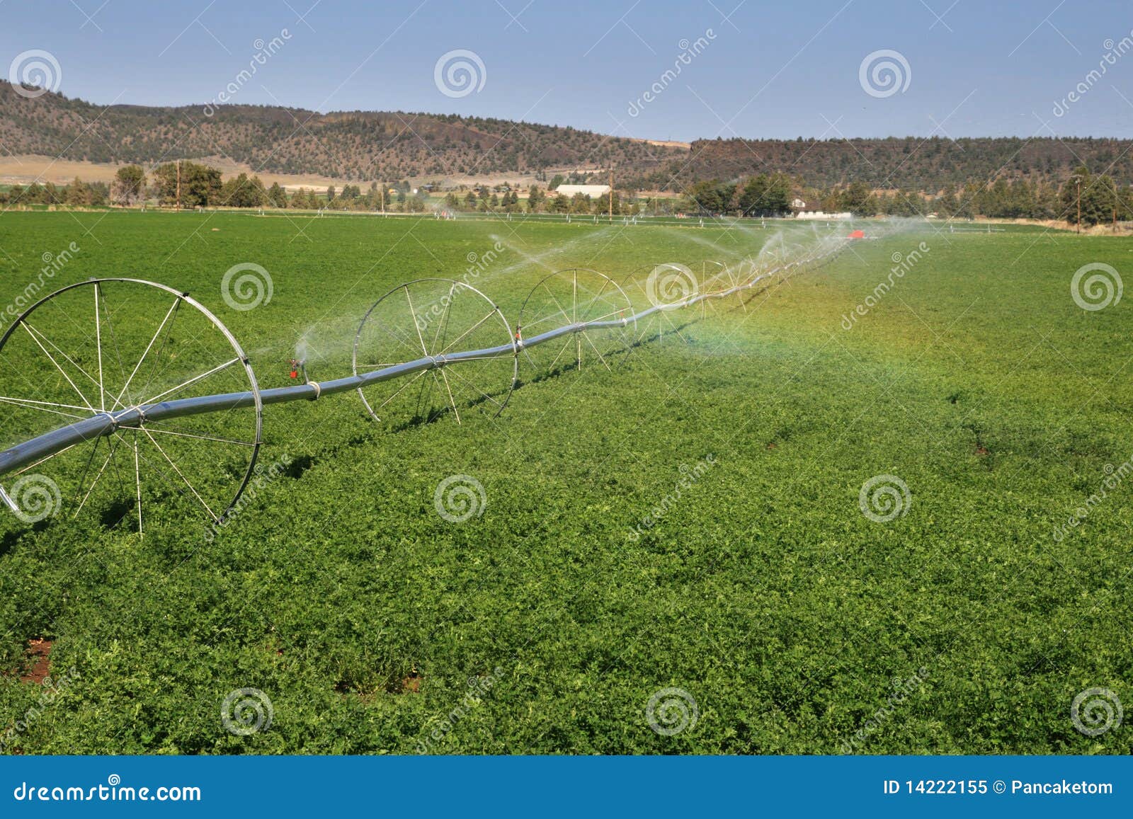 Wheel Line Irrigation System Stock Image - Image of irrigation, pipes ...