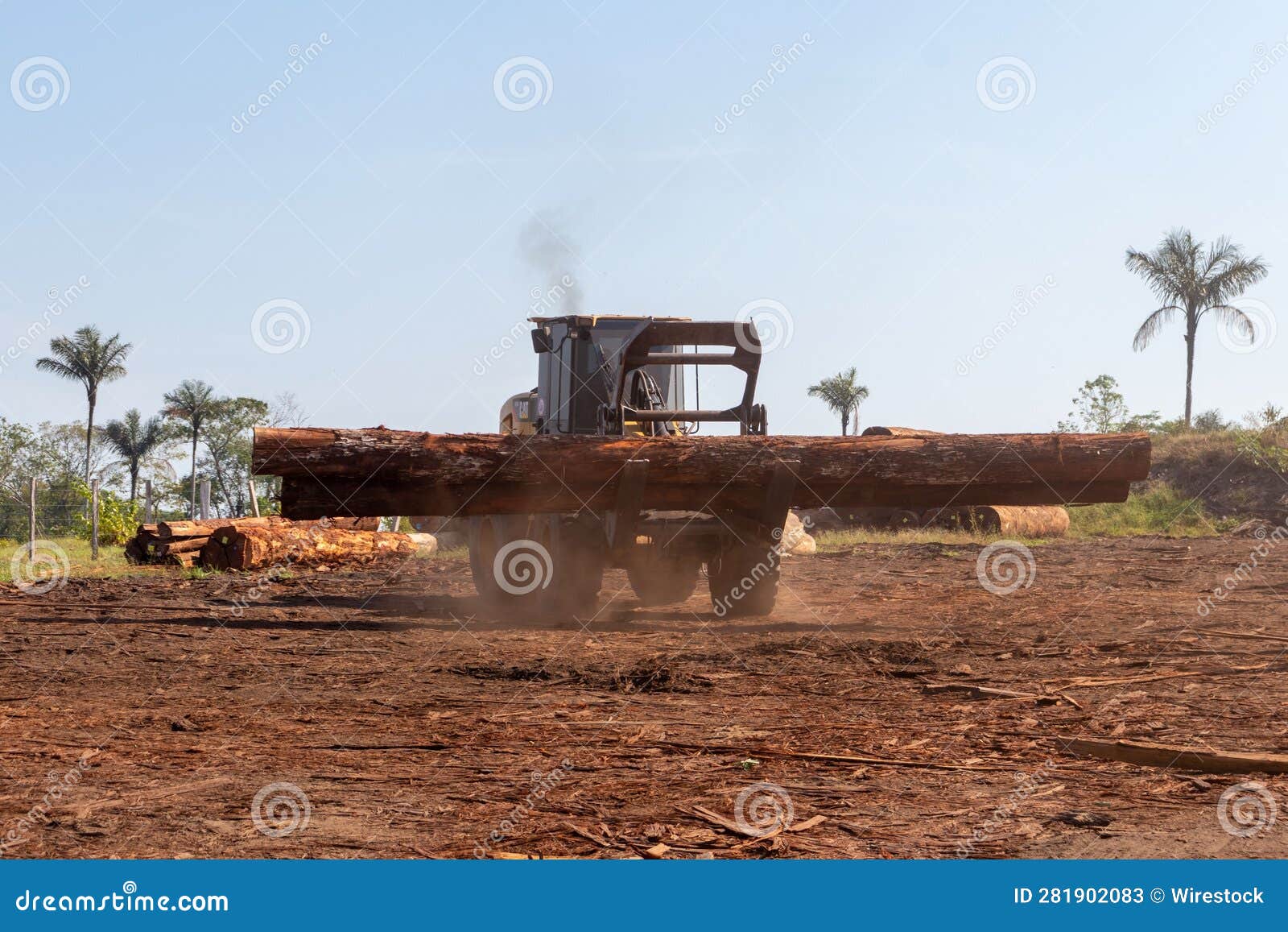 Wheel Loader Carrying a Tree Log Editorial Stock Photo - Image of ...