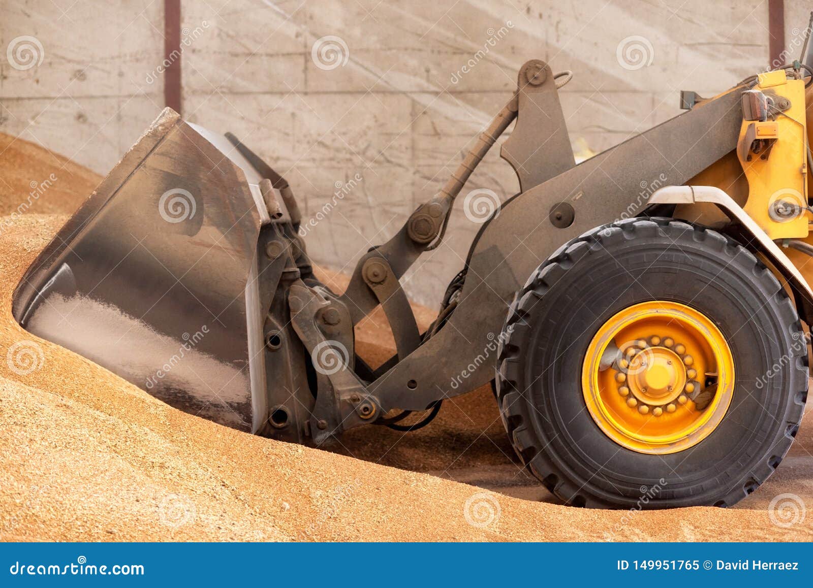 Wheel Loader Close Up, Excavator Loading Sand at Construction Site ...