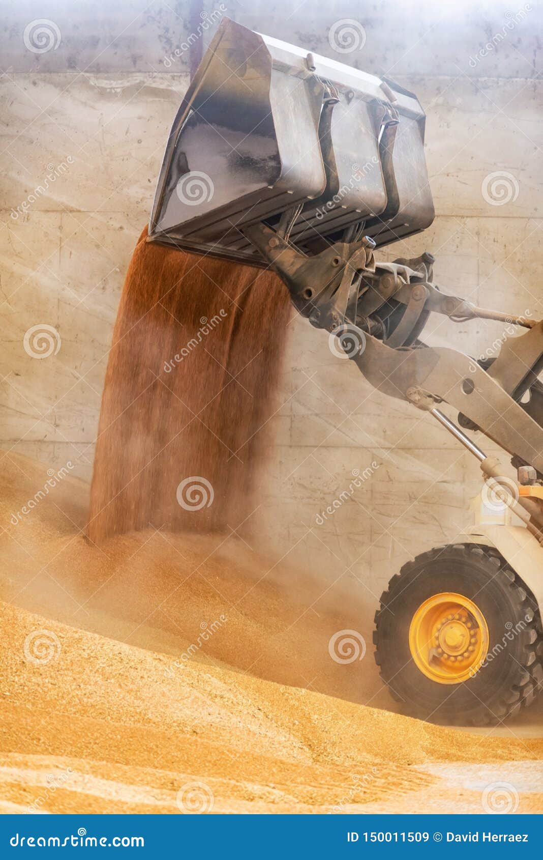 Wheel Loader Close Up, Excavator Loading Sand at Construction Site ...