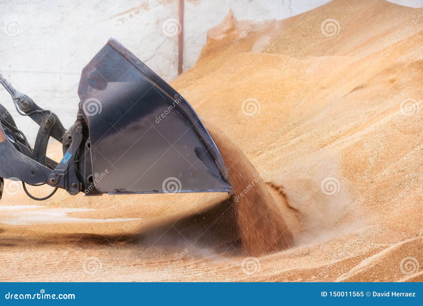 Wheel Loader Close Up, Excavator Loading Sand at Construction Site ...