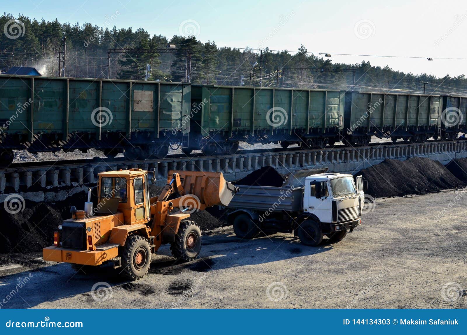 Loader Excavator Loads Coal into a Dump Truck at a Cargo Railway ...