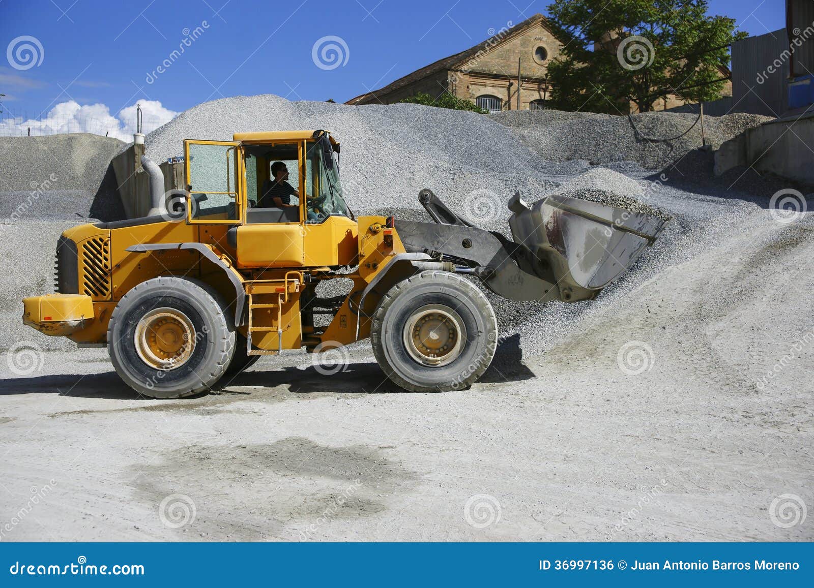 Wheel Loader Excavator Unloading Sand Stock Photo - Image of machinery ...