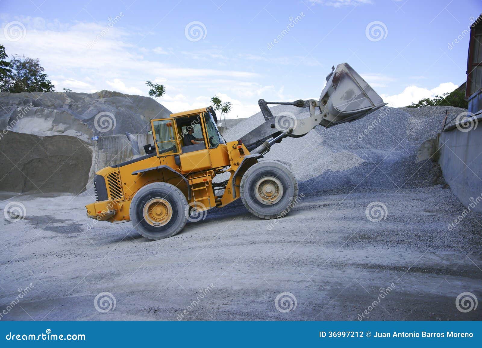 Wheel Loader Excavator Unloading Sand Stock Photo - Image of industrial ...