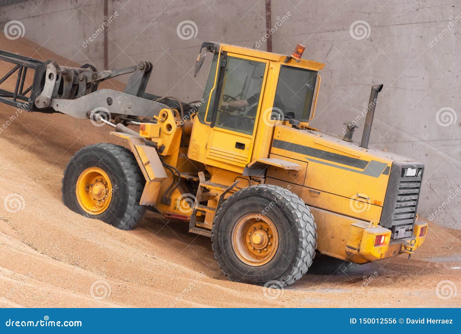 Wheel Loader Working at Grain Wheat Warehouse. Agriculture Industry ...