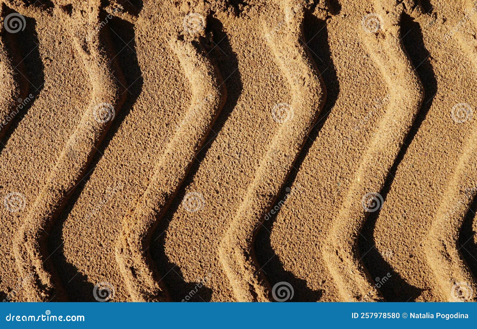 Wheel mark on the sand stock photo. Image of beach, wheel - 257978580