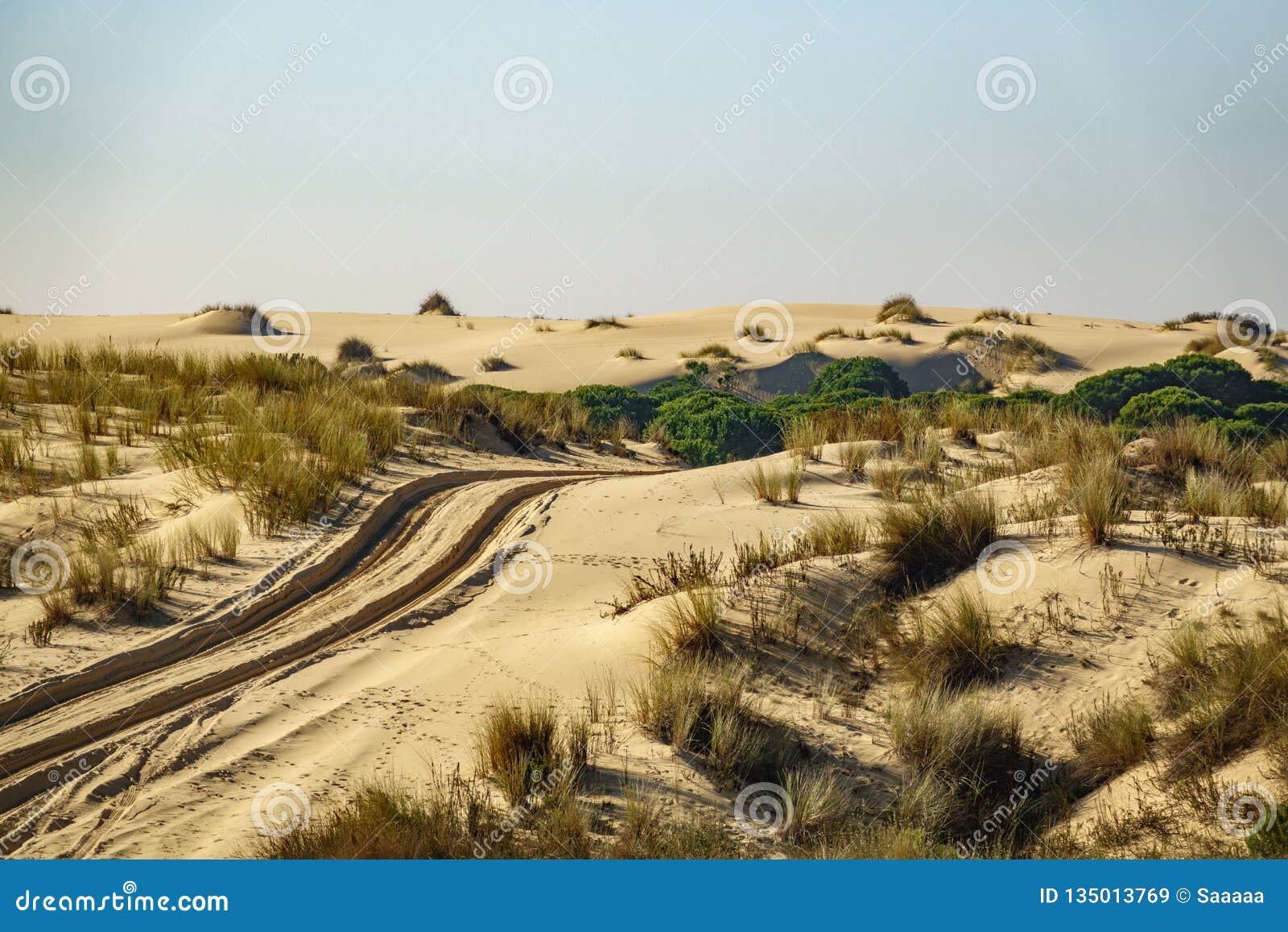 Wheel Marks in the Sand of the Desert Stock Image - Image of hill ...