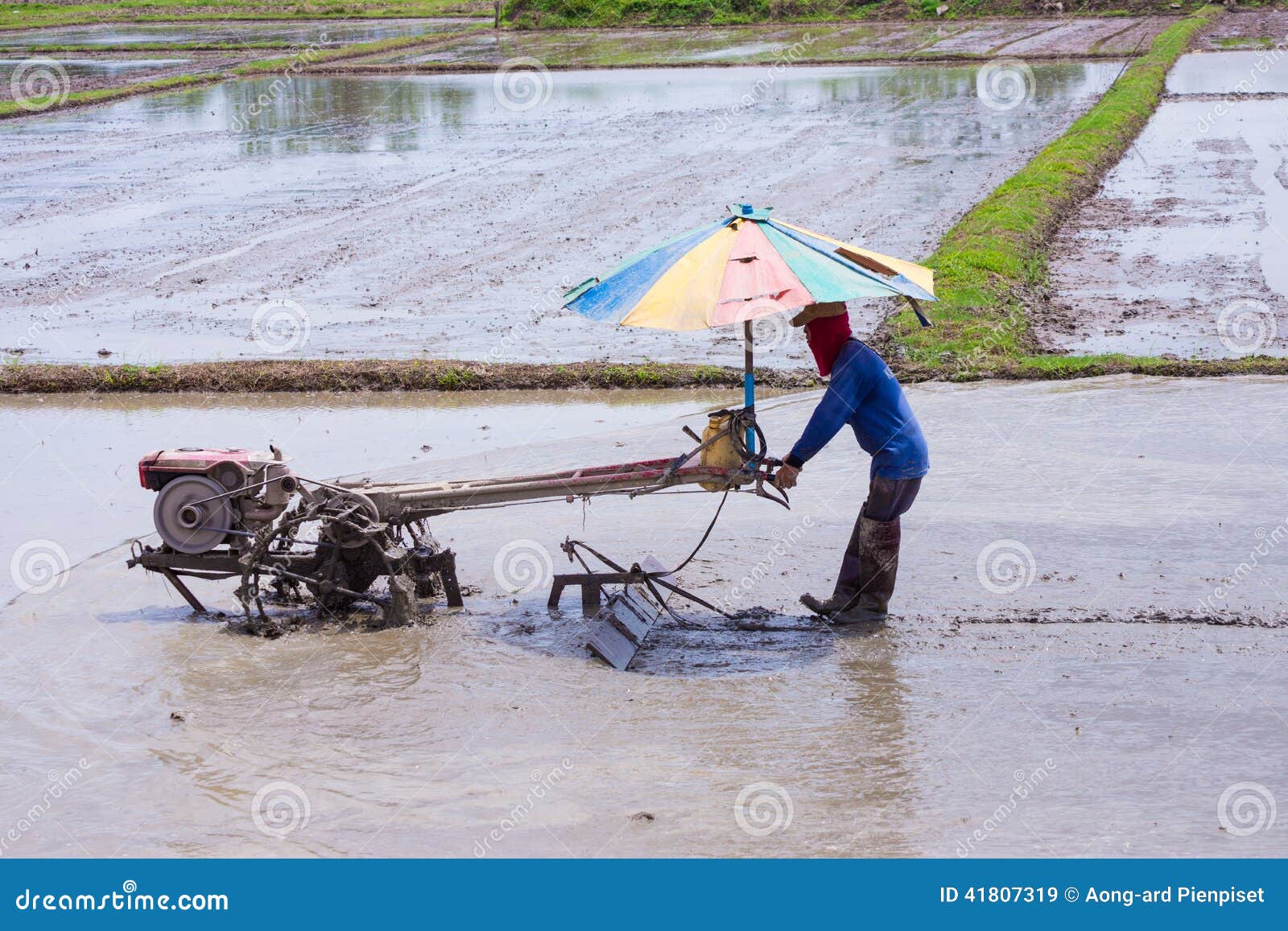 Wheel plough process editorial stock image. Image of angkor - 41807319