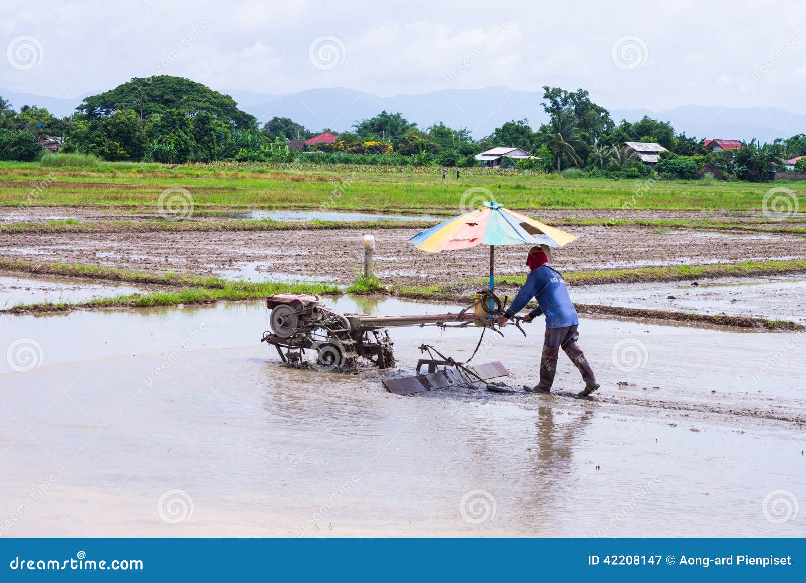 Wheel plough editorial photography. Image of meadow, environment - 42208147