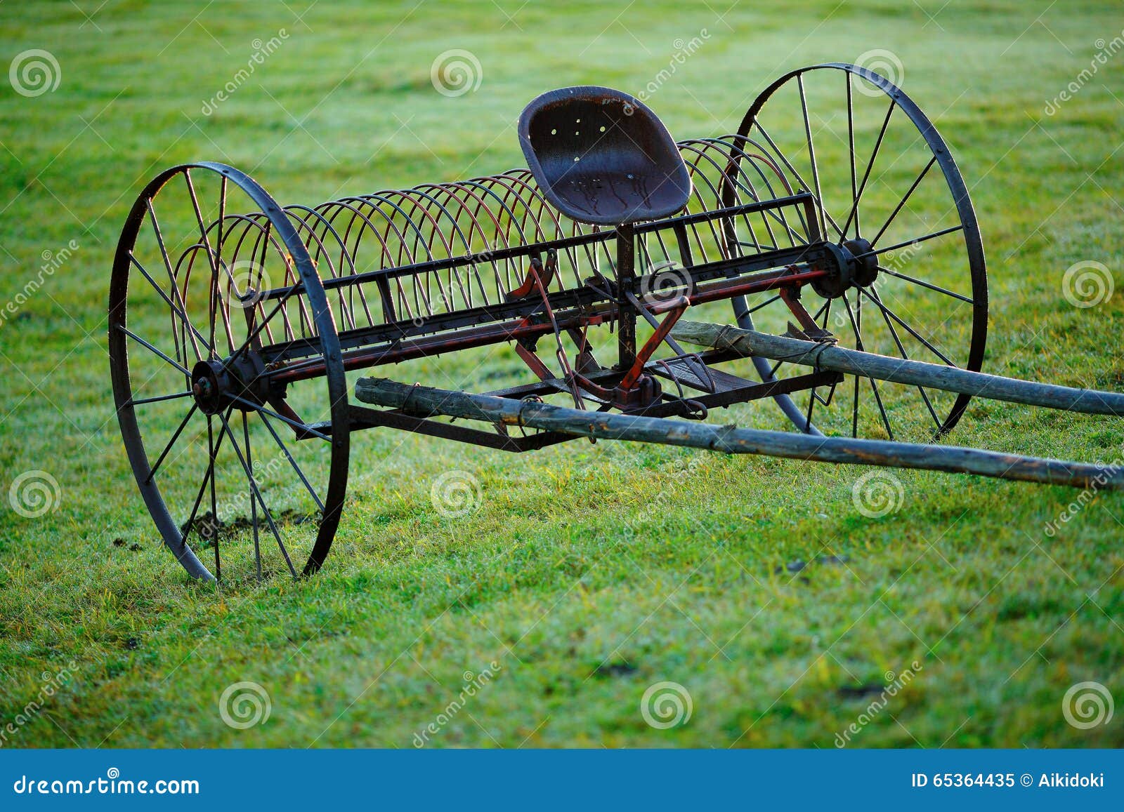 Wheel Rakes on a Green Grass. Hay Equipment Stock Image - Image of ...