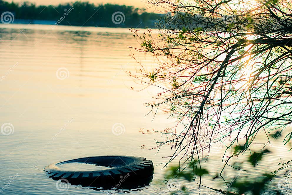 Wheel in the River Environmental Concept Stock Image - Image of water ...