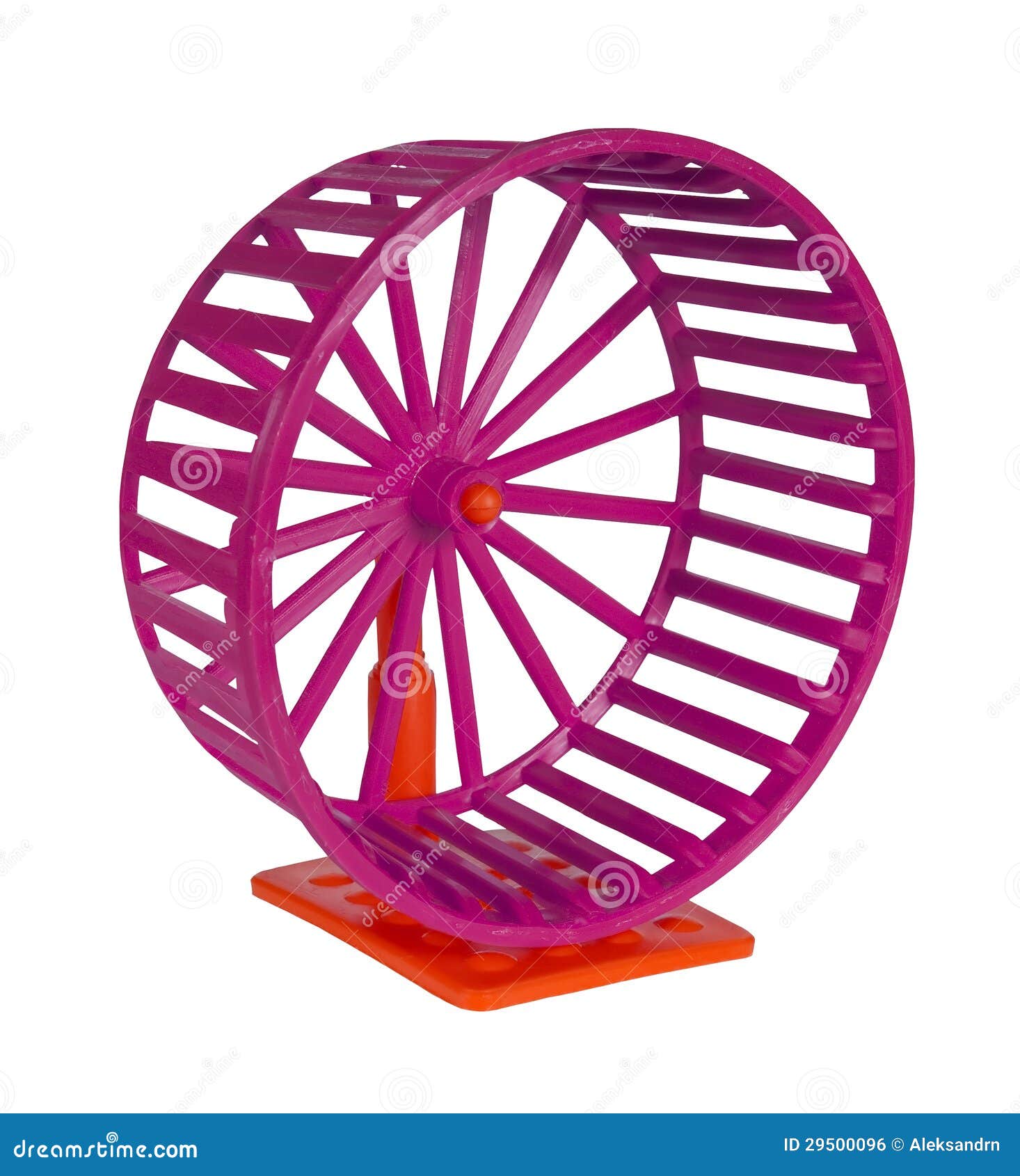Wheel for rodents stock photo. Image of looking, pets - 29500096