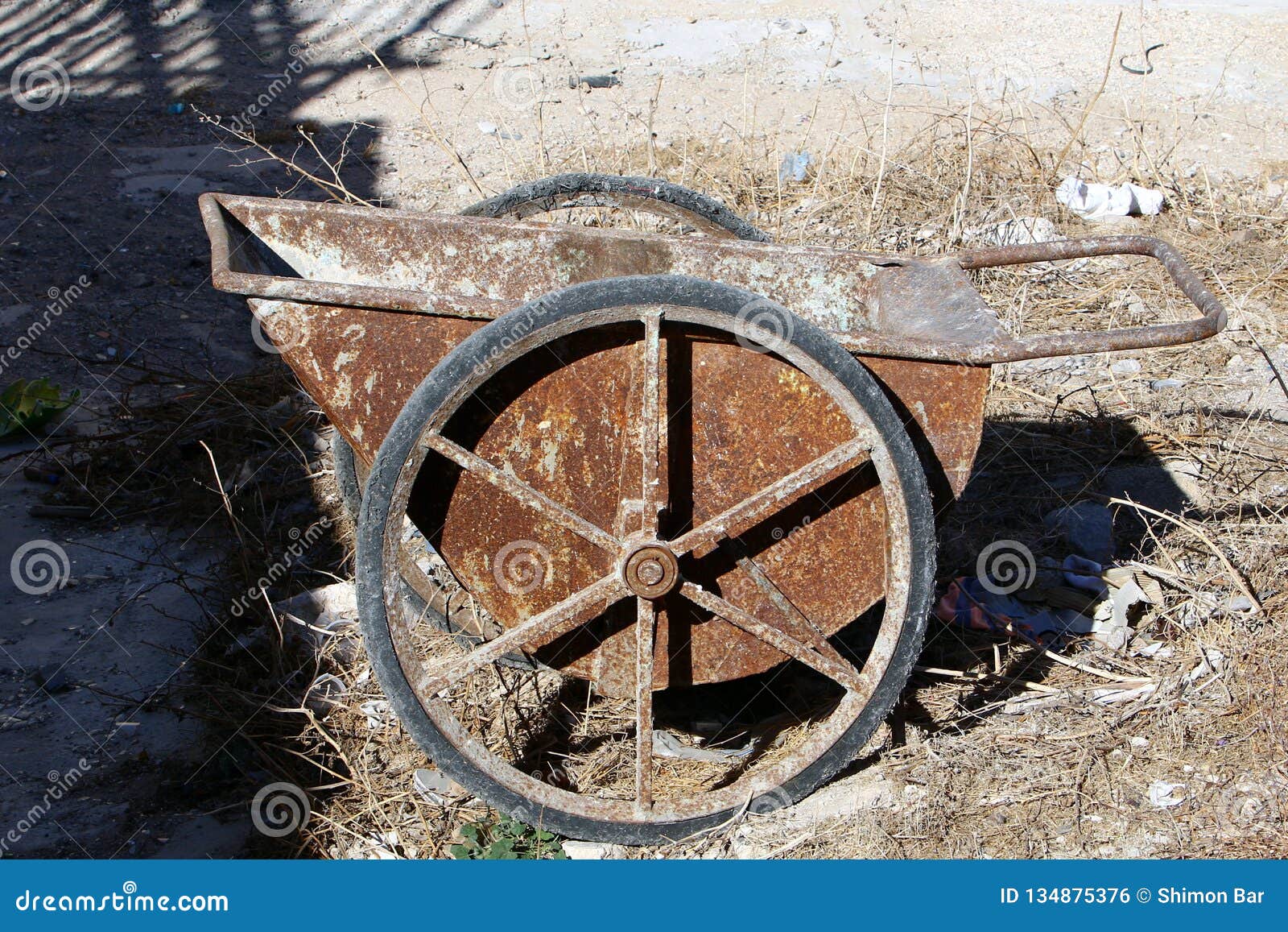 Use of the Wheel in Engineering and Nature Stock Photo - Image of body ...